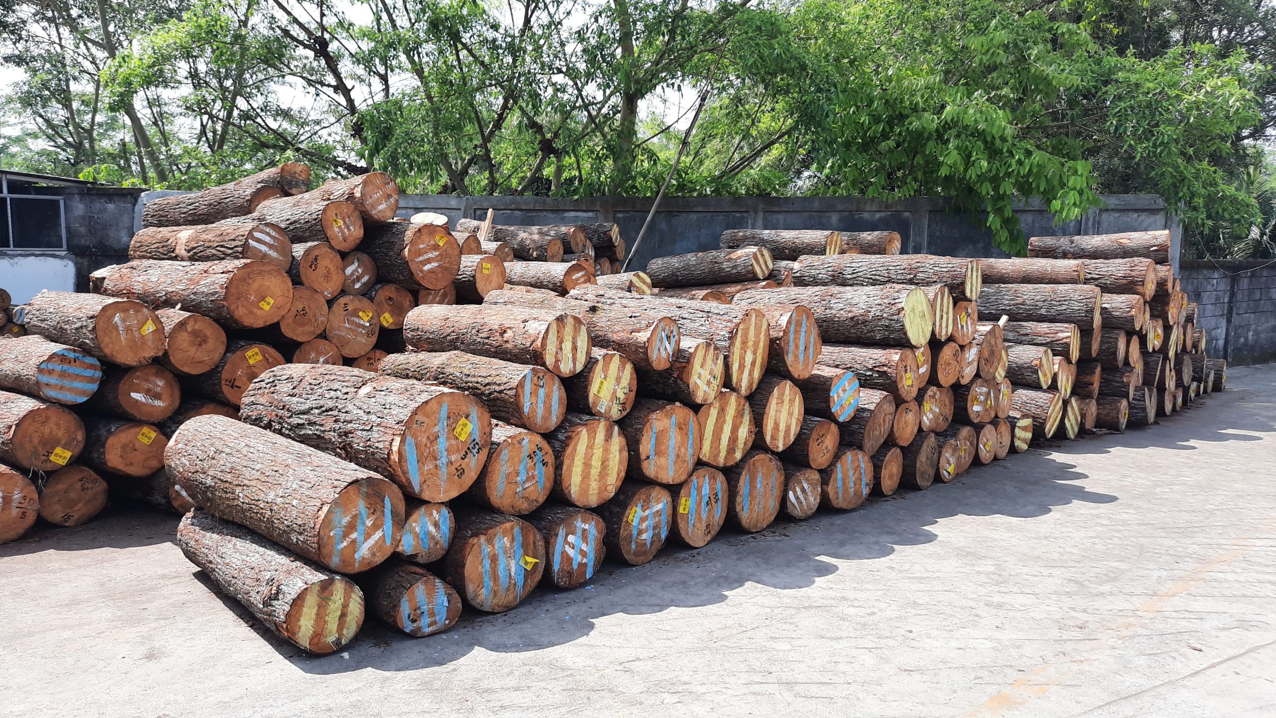 Karya Bhakti Manunggal | Pine FJLB & Albazia Barecore Specialist